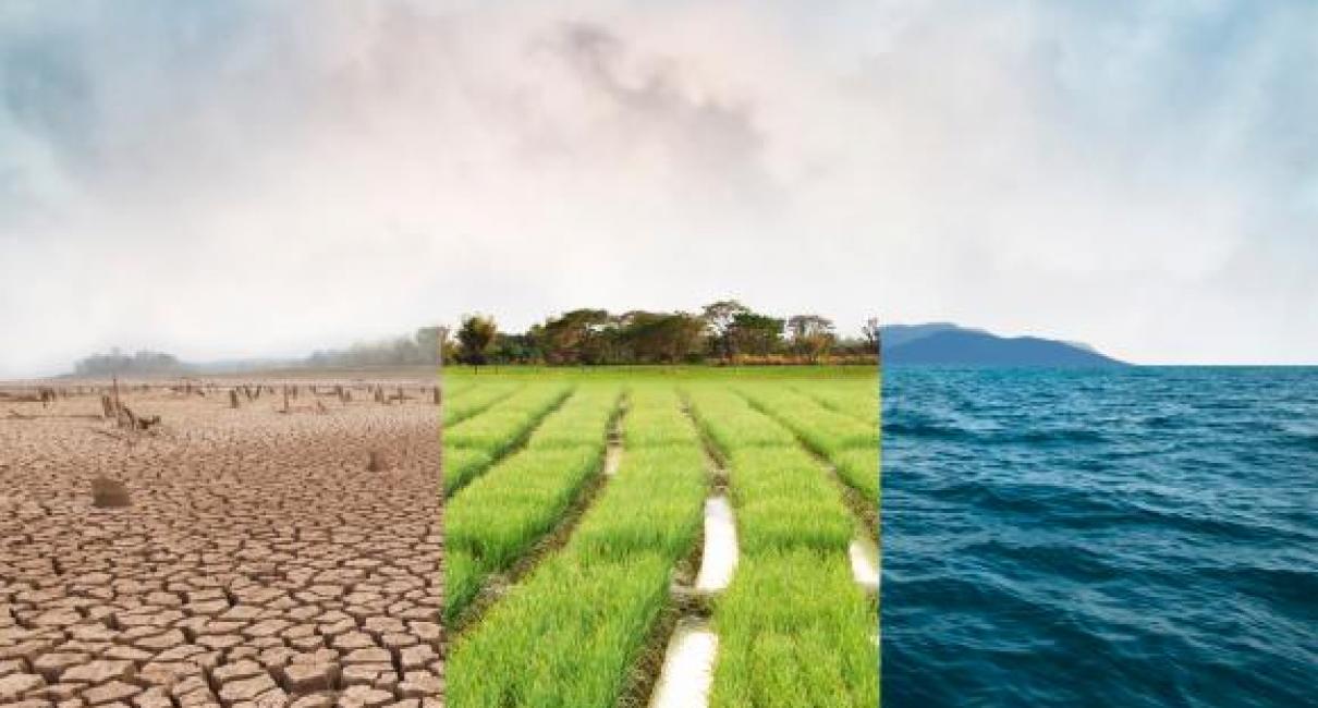 What can we learn from the Corona Crisis about the coming Climate ...